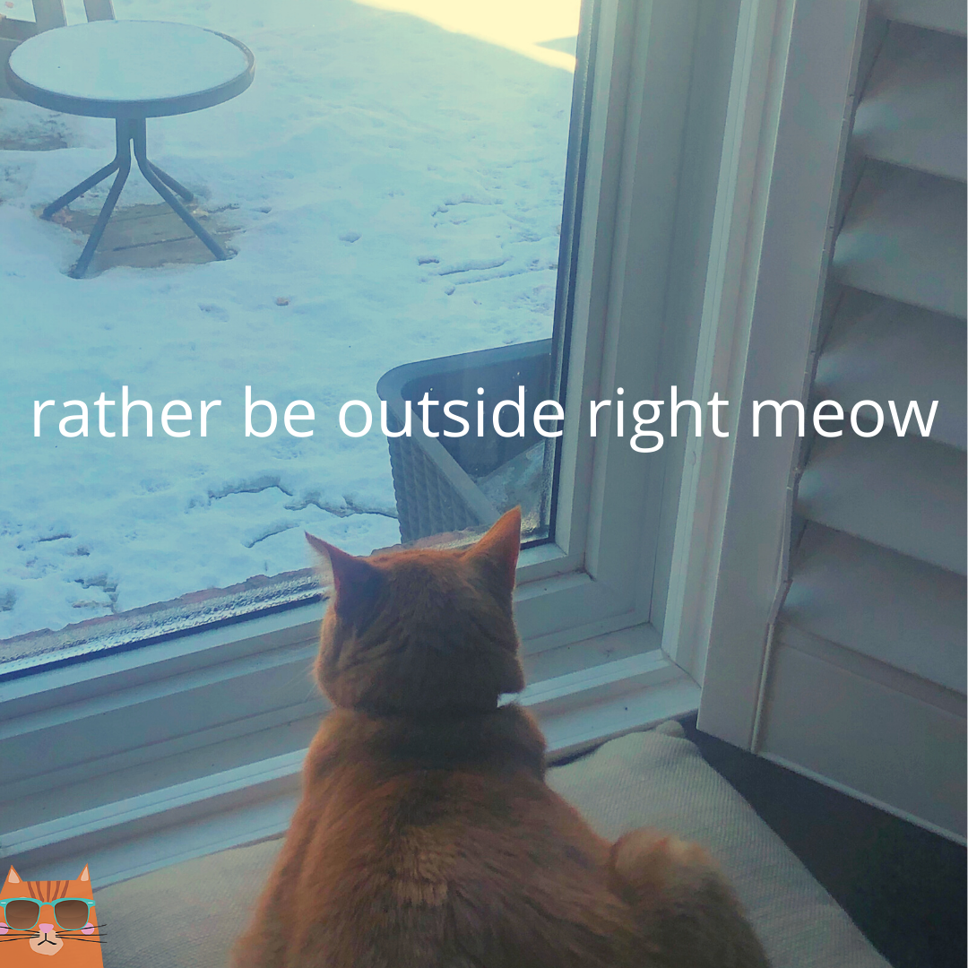 10 Entertaining Activities When You Have to Isolate - aVERY Bright Life