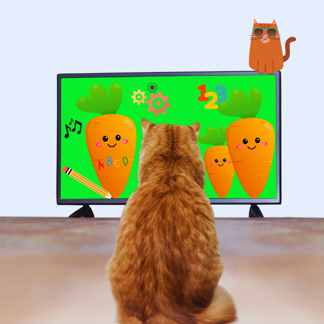 Edutainment aka “Carrot” Shows - aVERY Bright Life